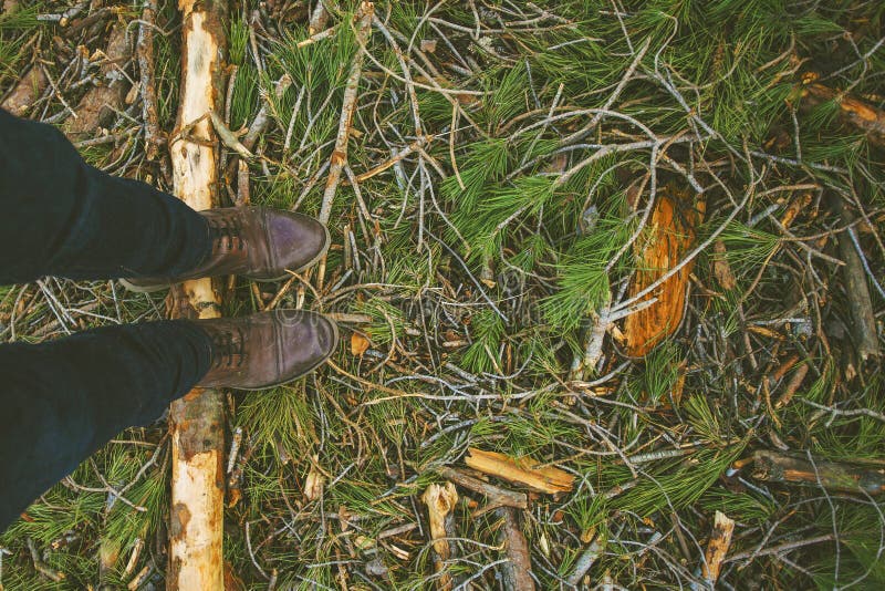 Overhead of Man Boots Treading a Pine Log. Stock Image - Image of tree ...