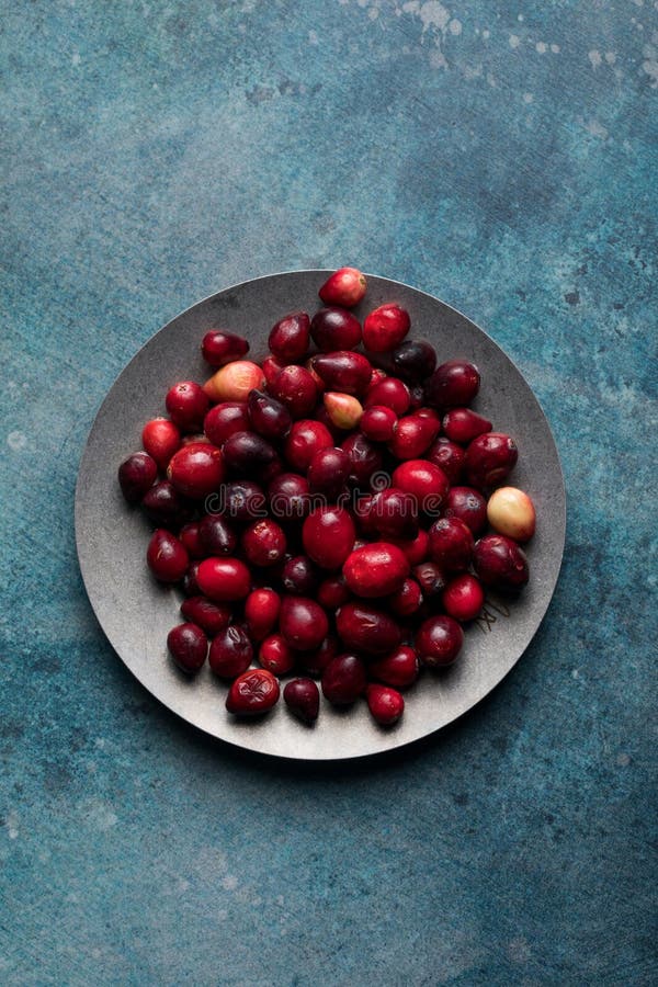 Overhead of a Plate of Cranberries and a Pot Full of Whole Cranberry ...