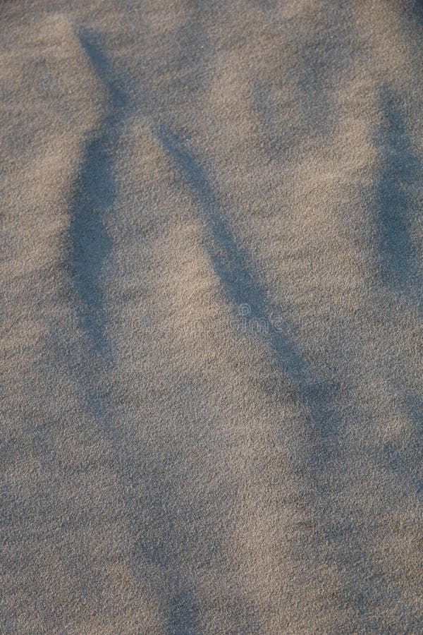 Overhead Shot of the Empty Sandy Beach with Wavy Patters on it Stock ...