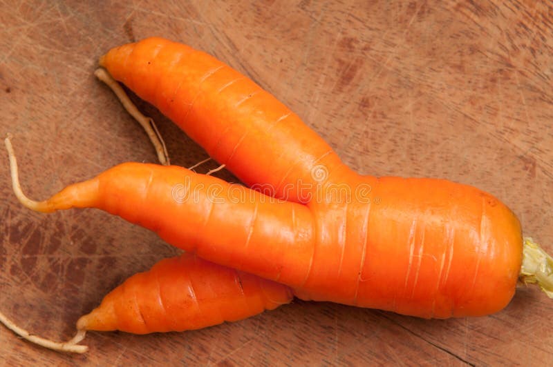 Overhead Shot of Farm-fresh Carrots Bent and Twisted Stock Photo ...