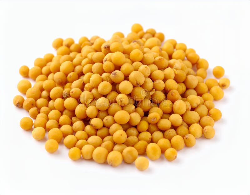 Abundant Pile of Raw Soy Grains Offering Nutritional Value on White ...