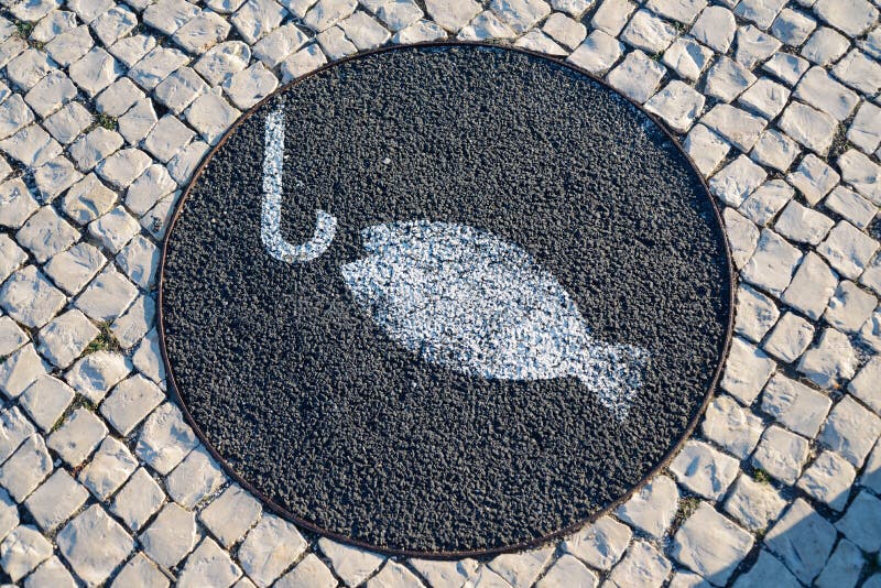 Overhead Shot of a Fish Sign on Asphalt Surrounded by Squared Stone ...