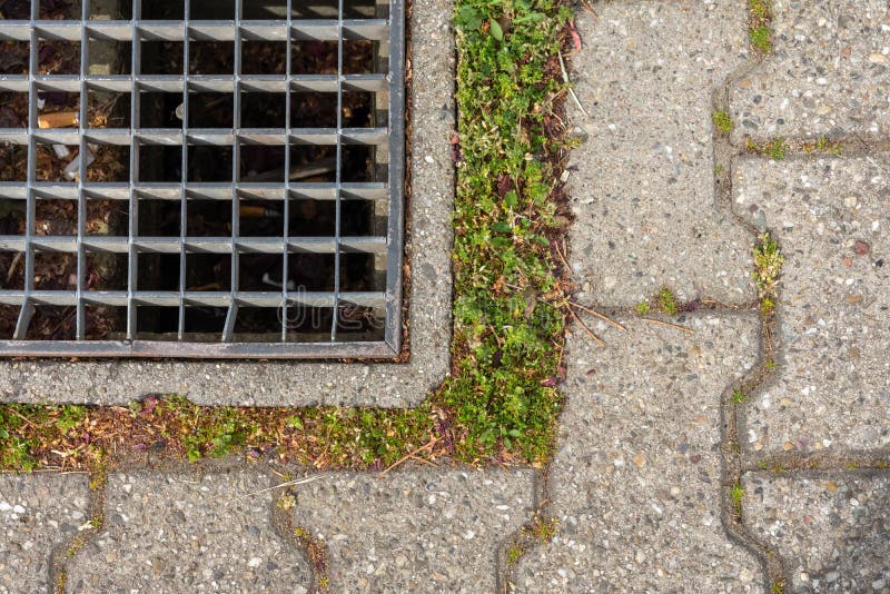 Overhead Shot of a Manhole on the Ground Surrounded by Grass Stock ...