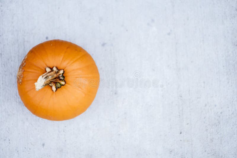 Overhead Shot of an Orange Pumpkin on the Ground Stock Photo - Image of ...
