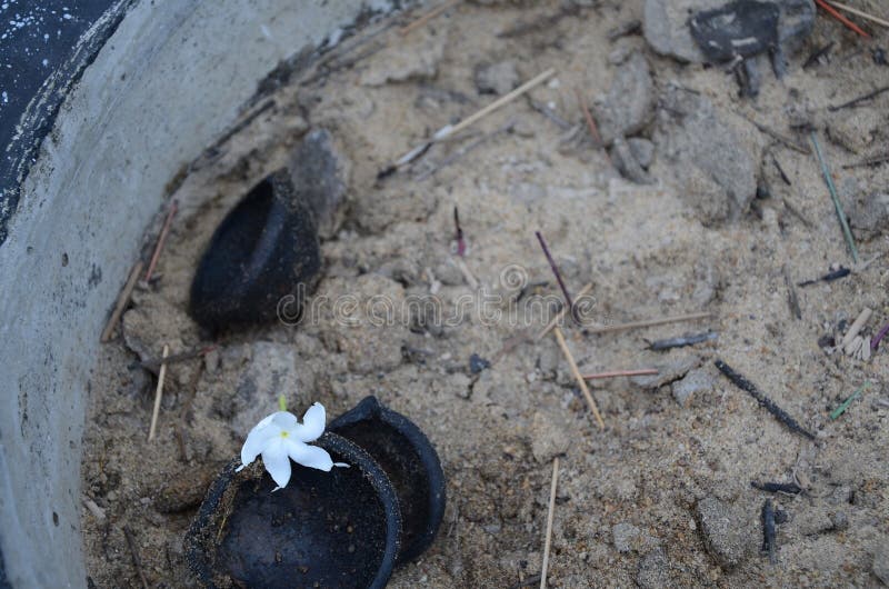 754 Garbage Pit Stock Photos - Free & Royalty-Free Stock Photos from ...