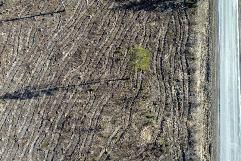 Overhead Shot of a Rural Dirt Field Stock Image - Image of trail, rural ...