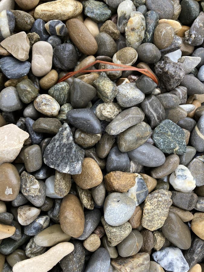 Smooth Pebbles on the Seashore Stock Photo - Image of environment ...