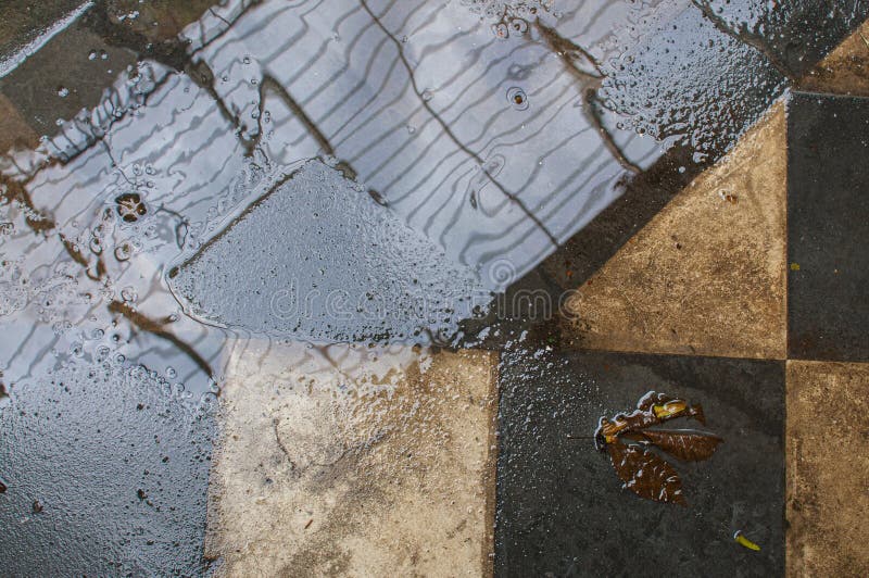 Overhead Shot of a Yellow Leaf on the Wet Ground with the Reflection of ...