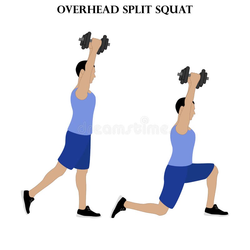 Dumbbell Split Squat Exercise Strength Workout Vector Illustration ... Dumbbell Split Squat Exercise Strength Workout Vector Illustration ...