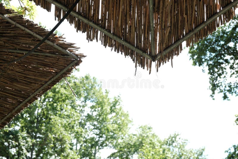 Overhead Symetric Bamboo Structures in Park Stock Photo - Image of ...