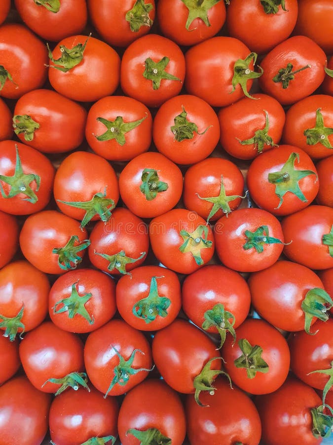 Overhead Top View of Tomatoes Stock Image - Image of vitamin, garden ...