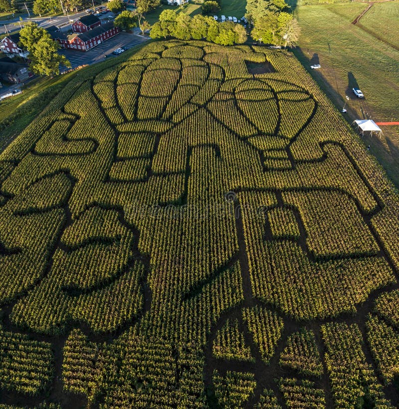 Overhead View of Agricultural Fields in Patterns Editorial Photo ...