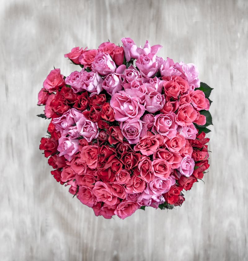An Overhead View Of A Bunch Of 80 Roses In A Circular Shape A Li Stock ...