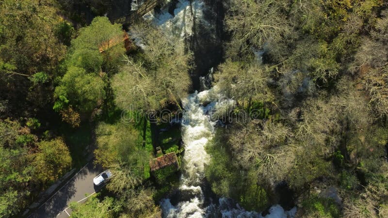Overhead View of Cascade Flowing through the River Amid the Trees in ...