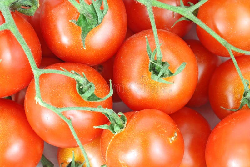 Overhead View Cherry Tomatoes Stock Image - Image of contrast, healthy ...
