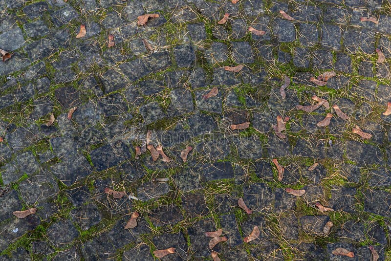 Overhead View of Cobblestone Street Texture with Grass. Stone Pavement ...
