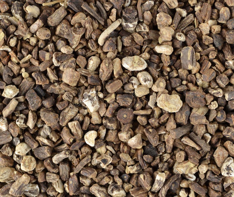 Dandelion Root Pieces stock image. Image of diet, overhead - 197183511