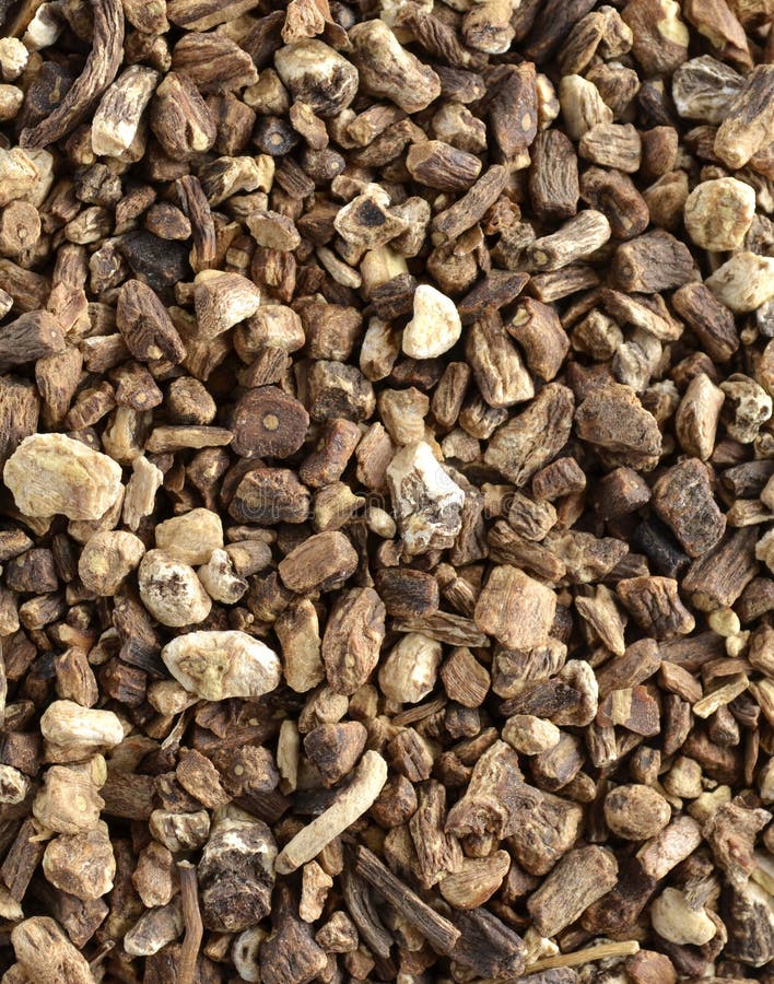 Dandelion Root Pieces stock photo. Image of alternative - 197183498