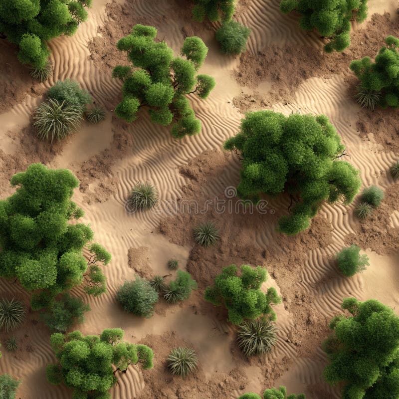 Desert Landscape with Haloxylon Ammodendron Trees Stock Image - Image ...