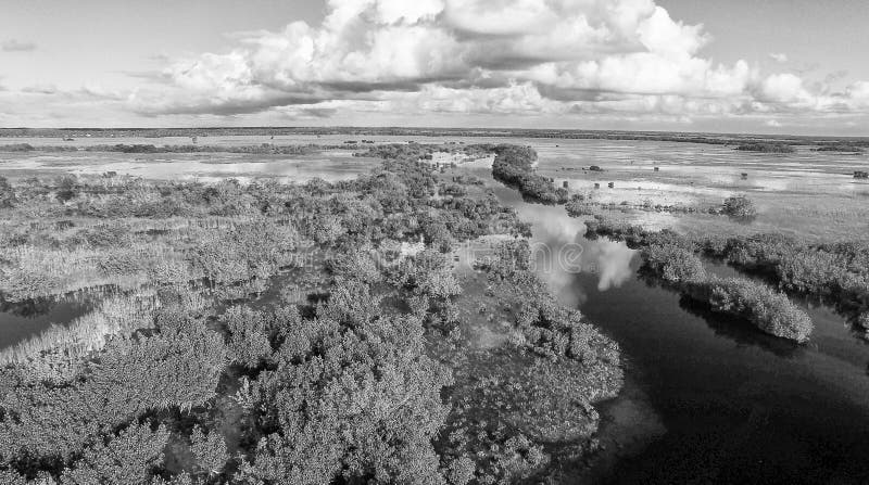 Overhead View of Everglades Swamp, Florida - USA Stock Photo - Image of ...