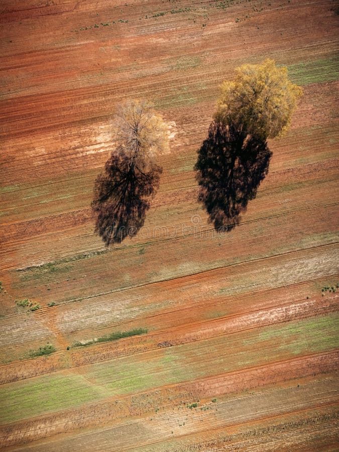 Overhead View of Fallow Fields and Two Trees As Winter Approaches ...