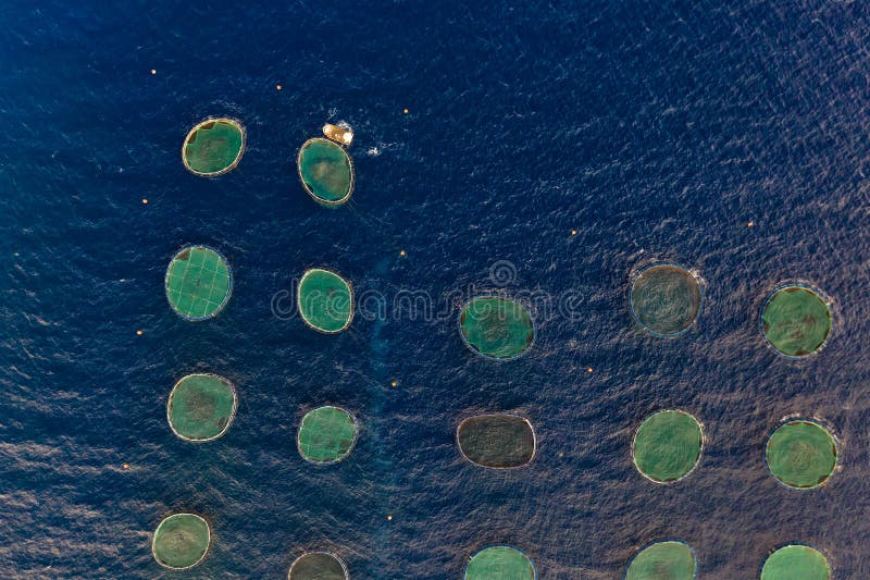 Overhead View of Fish Farms on the Sea Stock Photo - Image of farming ...