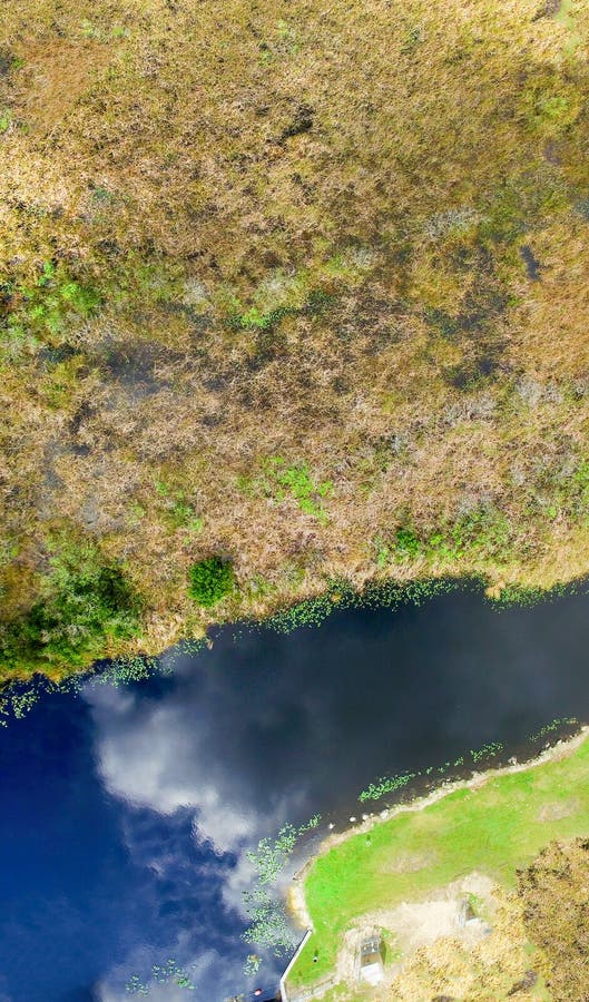 Overhead View of Florida Everglades Swamp - USA Stock Photo - Image of ...
