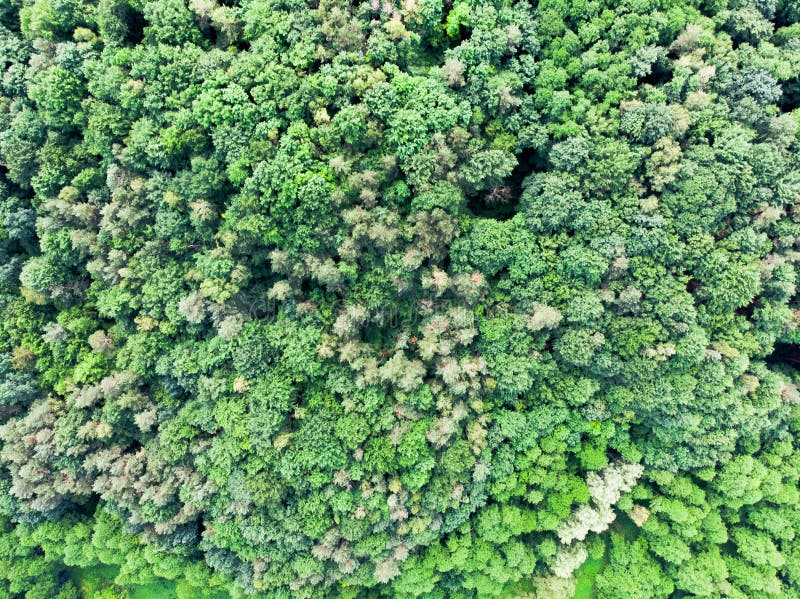 Overhead Top View of Old Armenian Cathedral Church in Lviv Ukraine ...