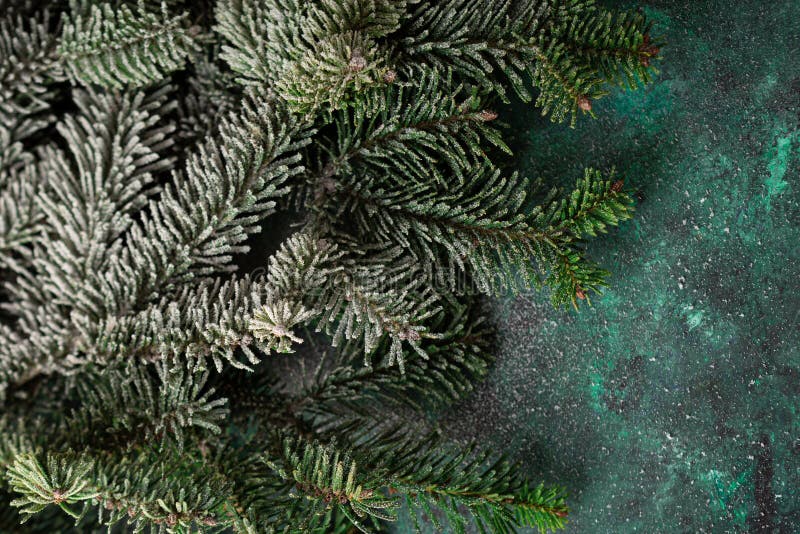 Overhead View of Green Christmas Tree Branch and Snow Stock Photo ...