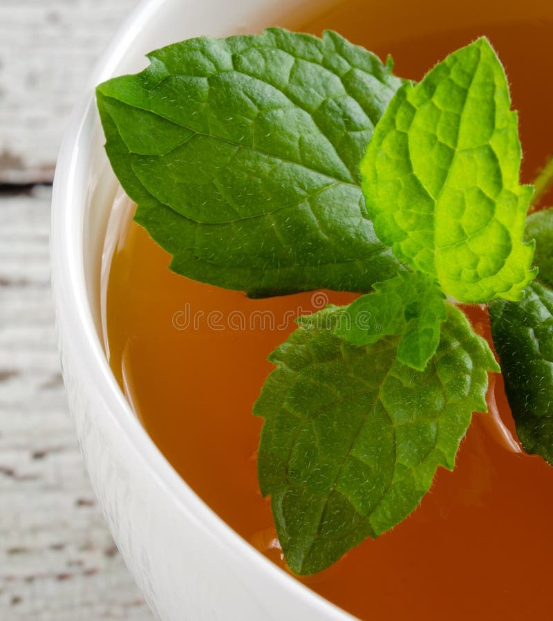 Green Tea in Cup with Mint stock photo. Image of liquid - 201411848