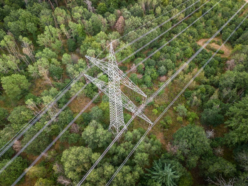 An Overhead View of High Voltage Power Lines, with Trees in the ...