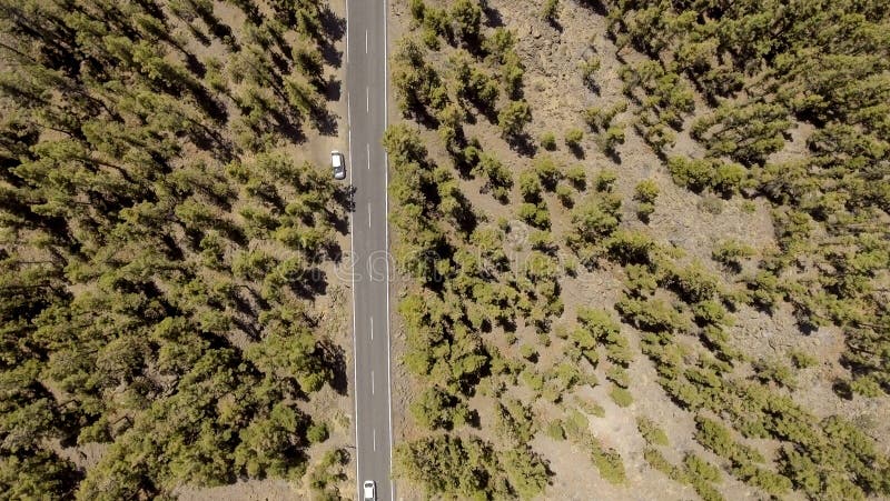 Overhead View of Mountain Road through Trees Stock Photo - Image of ...