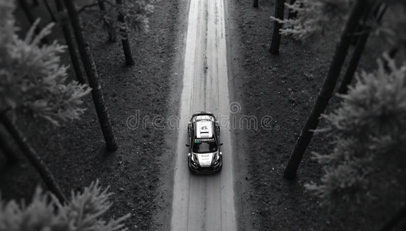 Overhead View of Rally Car on Dirt Road between Trees in Grayscale ...
