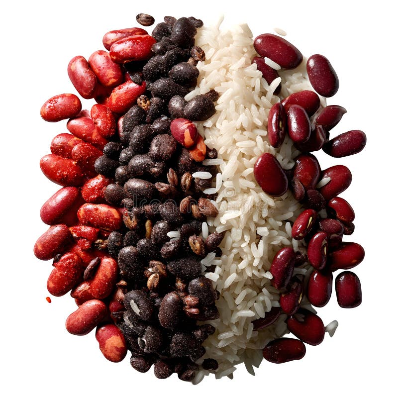 Overhead View of Red Kidney Beans Black Beans and White Rice Arranged ...