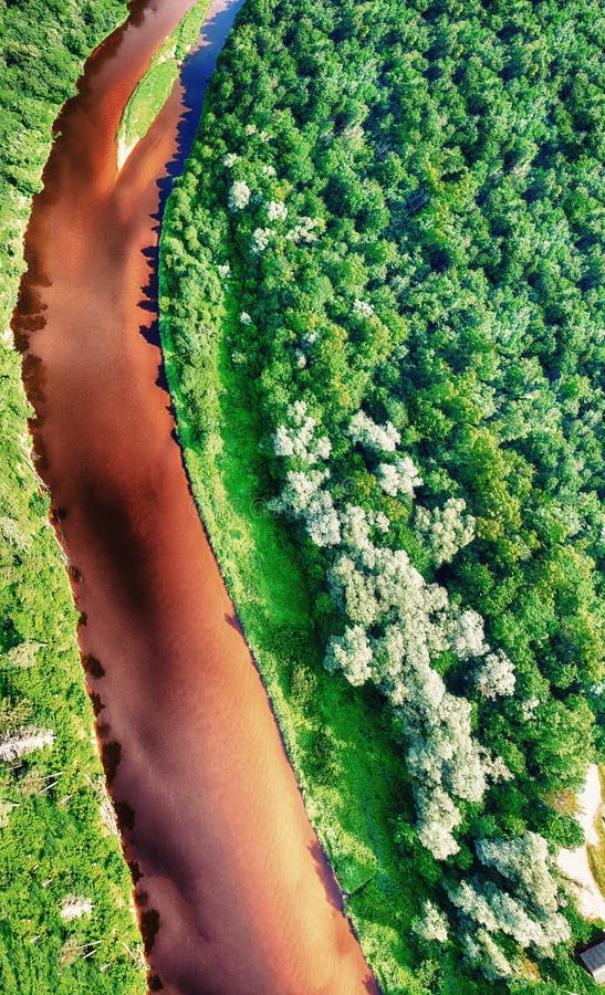 Overhead View of River Crossing Beautiful Forest Stock Photo - Image of ...