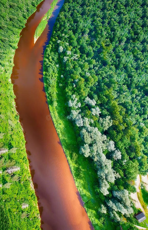 Overhead View of River Crossing Beautiful Forest Stock Photo - Image of ...