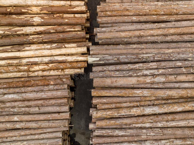 Overhead View of Stacked Cut Logs Awaiting Transport for Processing ...