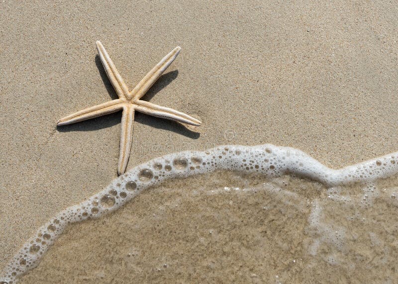 Starfish Wave Beach Background Stock Image - Image of exotic, aquatic ...