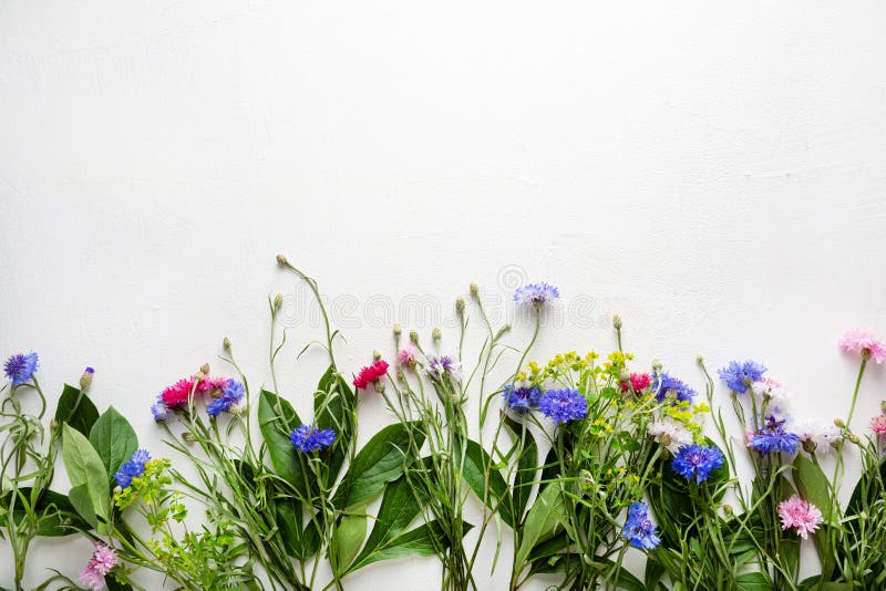 Overhead View of Summer Flowers on White Surface Stock Photo - Image of ...