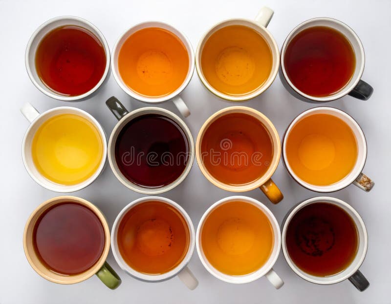 Overhead View of Tea Cups with Various Shades Stock Illustration ...