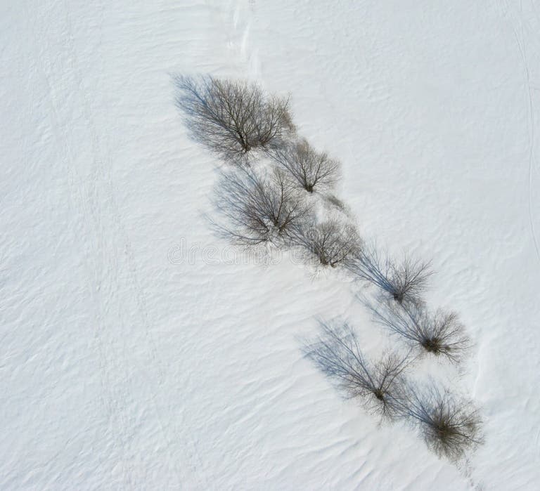 Overhead View of Trees and Shadows on Snow Stock Image - Image of kite ...