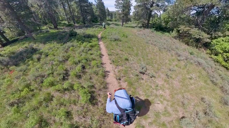 Overhead View on the Wildcat Connector Stock Footage - Video of green ...