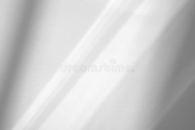 Organic Drop Shadow on a White Wall Stock Photo - Image of shadow ...