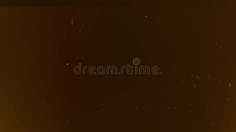 Flying Dust and Fluff on a Black Background Stock Video - Video of ...