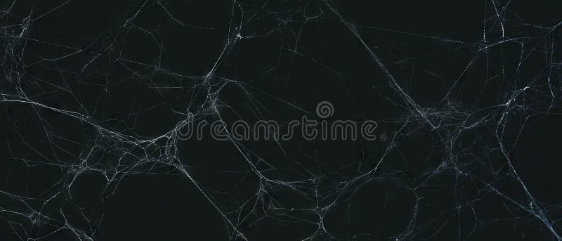 Intricate Details of a Spider Web Texture Against a Black Background ...