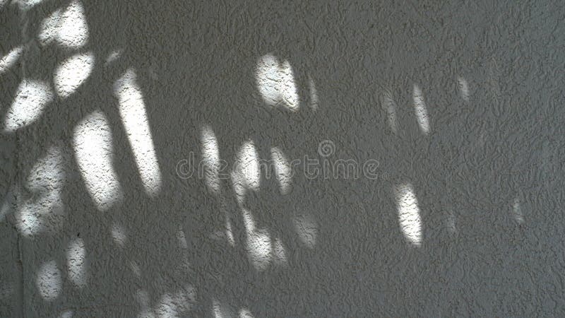 An Overlay for Your Design, the Shade of a Plant Under the Influence of ...