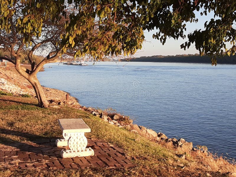 Overlook stock photo. Image of tree, overlook, river - 162392278