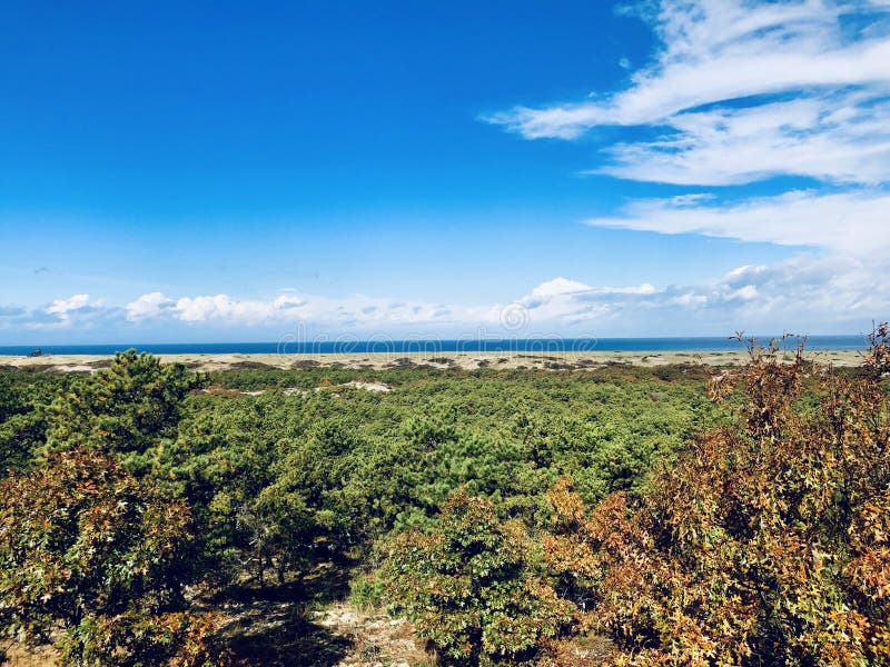 Overlook the Cape Cod National Seashore Stock Image - Image of plant ...