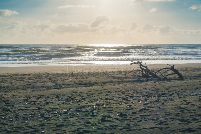 Overlooking the beach. stock photo. Image of beautiful - 94834764