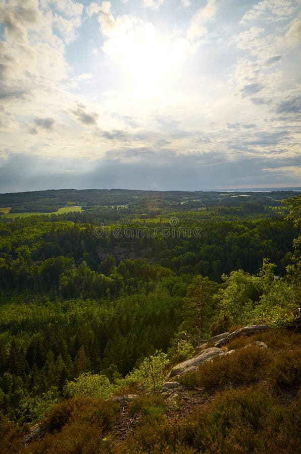 Overlooking a Colorful Forest Landscape Stock Photo - Image of ...